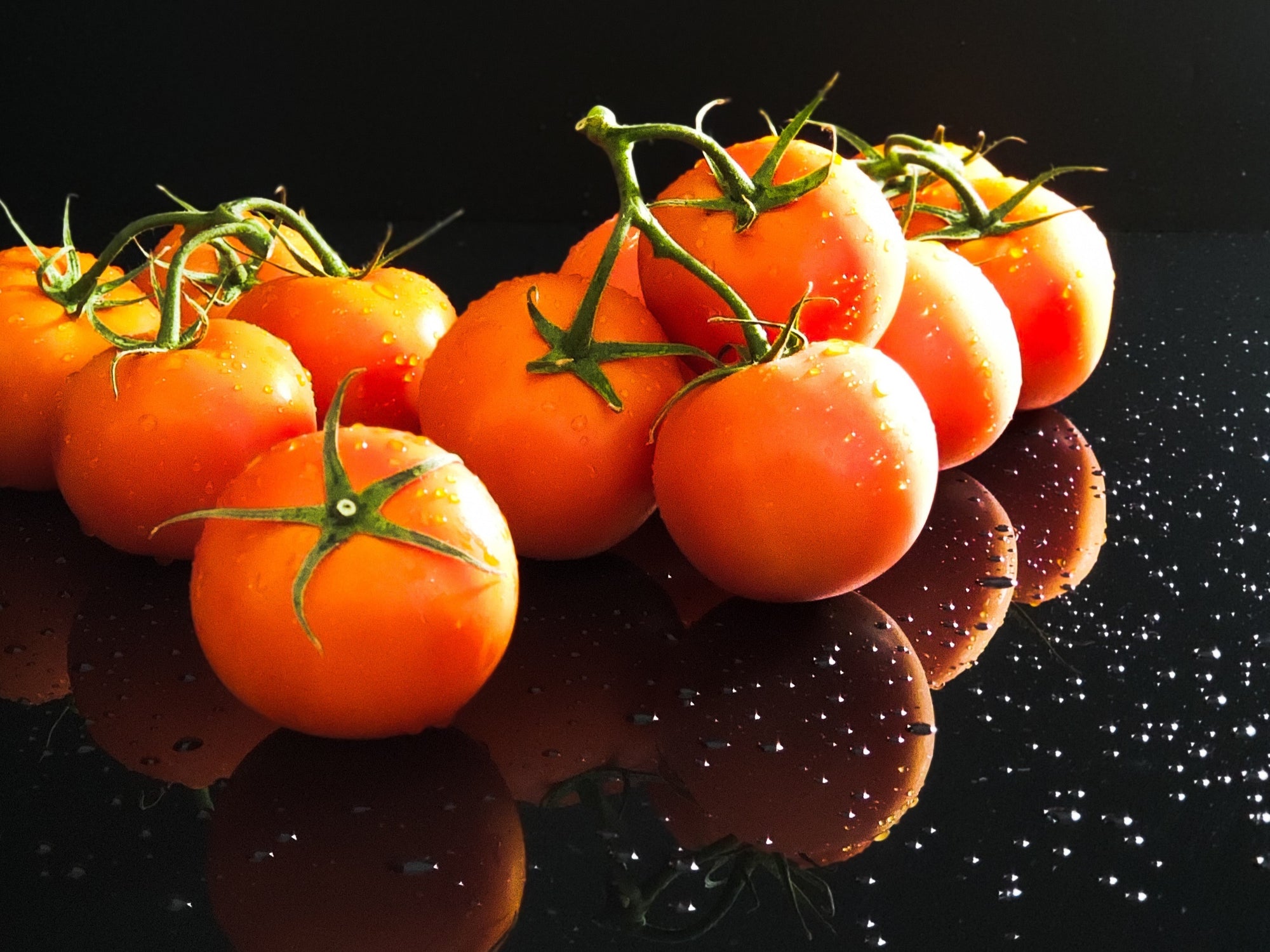 The Backers Co: Portable, Rigid, Photography Small Studio Backdrops ...